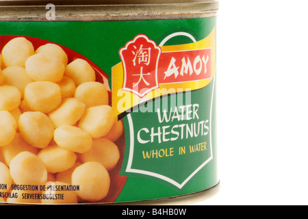 Tin of Water Chestnuts Stock Photo: 20050833 - Alamy