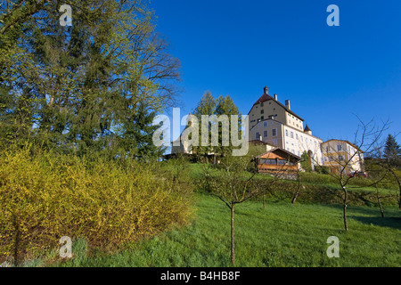 Trees in front of castle, Goldenstein Castle, Elsbethen, Flachgau ...