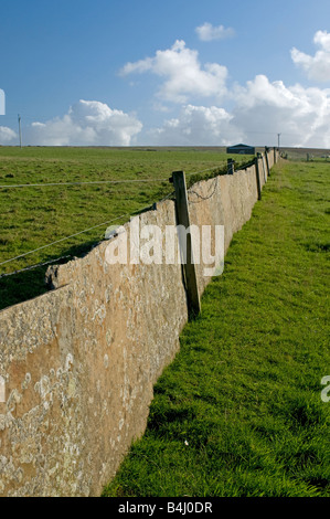 Caithness Flagstone used as a wall for retaining farm stock Northern ...