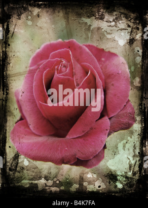 floral grunge background Stock Photo - Alamy