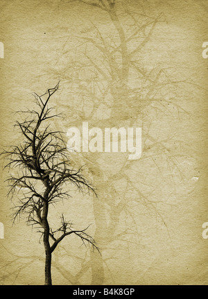 Grunge paper texture. abstract nature background Stock Photo - Alamy