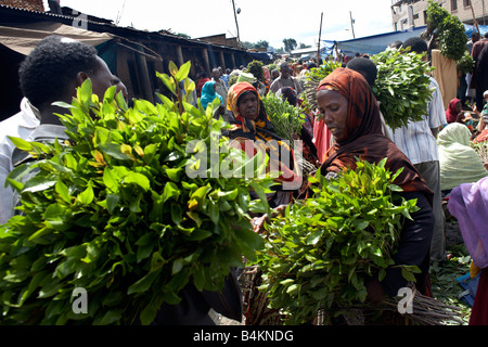 Fresh khat in the town of Awodaye, Ethiopia Stock Photo: 20105290 - Alamy
