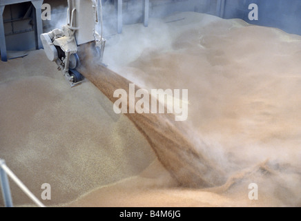 Grain loading in hold of bulk carrier ship with elevator crane closeup ...