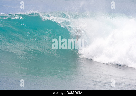 Bodysurfing Point Panic Honolulu Oahu Hawaii Stock Photo - Alamy