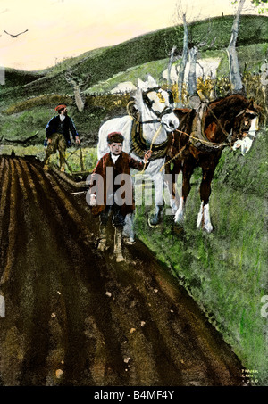 agriculture,farm labour,field,plough with span of oxen,after Anglo ...