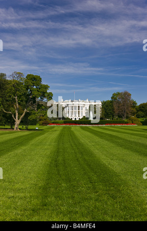 Green lawn and house building Stock Photo - Alamy