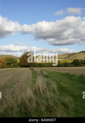 Pitstone Hill, The Ridgeway, Chilterns Stock Photo - Alamy