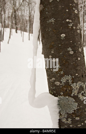 Peeing in the snow on the Keweenaw Peninsula near Copper Harbor ...