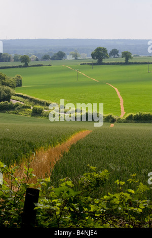 Panorama view of green fields with trees, rolling foothills, mountain ...