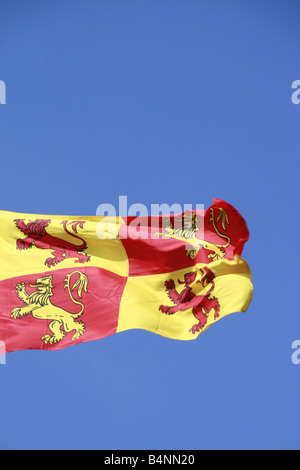 Old welsh flag emblem of Owain Glyndwr flying at National Eisteddfod of ...