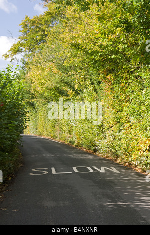 'Slow' road markings Stock Photo - Alamy