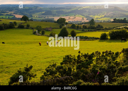 View of the Derbyshire countryside from Alport Heights near Wirksworth ...
