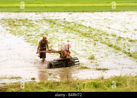 Farmer plowing muddy field with hand tractor. A farmer is using a ...
