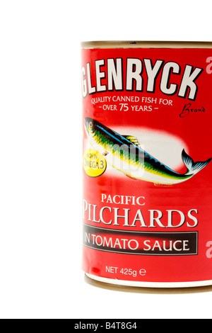 Pilchards tin fish tinned Glenryck pacific in tomato sauce cut out ...
