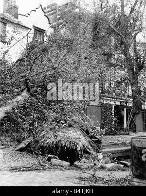 Weather Hurricane October 1987 Damage at langton Green Kent following ...