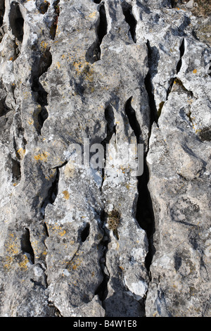Close-up of the limestone pavement on the top of Malham Cove, North ...