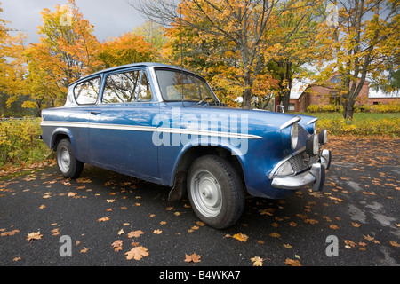 Blue Ford Anglia restored classic British motorcar Stock Photo ...