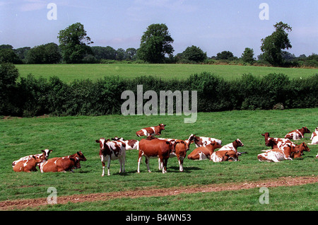 Broadfield Farm in Tetbury owned by Prince Charles Stock Photo - Alamy
