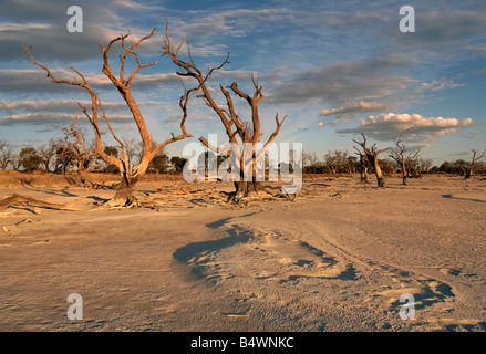 Lake Bonney Barmera Riverland South Australia Stock Photo - Alamy