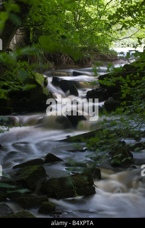 Adel Beck Adel Leeds West Yorkshire England UK Europe August Stock ...