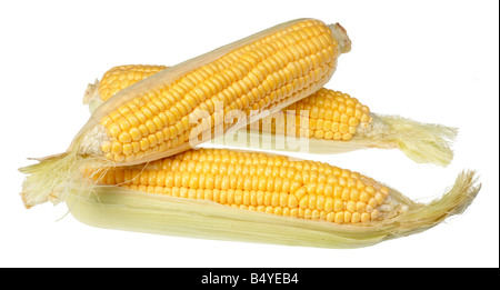 Three ears of corn on the cob Stock Photo - Alamy