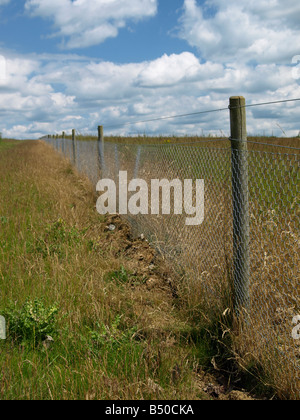 Wire mesh rabbit-proof fence surrounding vegetable plot on allotment ...
