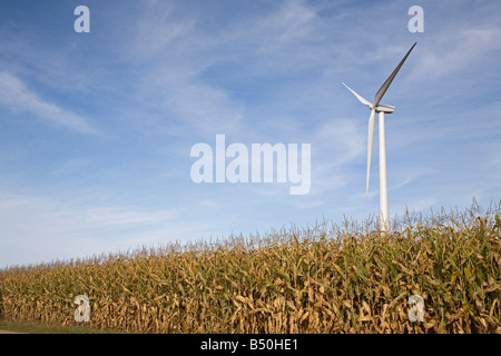Wind Turbine in a Corn Field 2 Stock Photo - Alamy