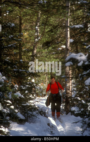 Vanderbilt Michigan A cross country skier on the Shingle Mill Pathway ...