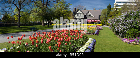A scenic photo in Christchurch, New Zealand of the spring flowers in ...