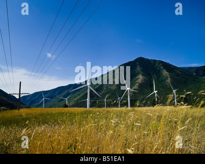 wind mill farm at a canyon Stock Photo - Alamy