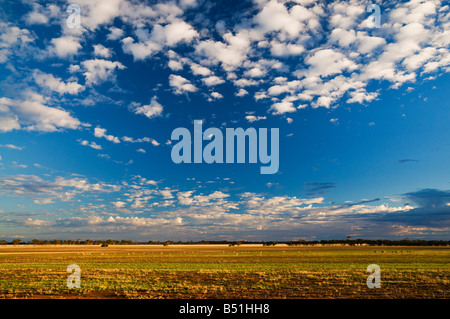 Corrigin, Western Australia, Australia Stock Photo - Alamy