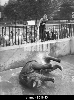 Lorna. rhino at London Zoo has daily shower- keeper Harry Dean. 025560/ ...