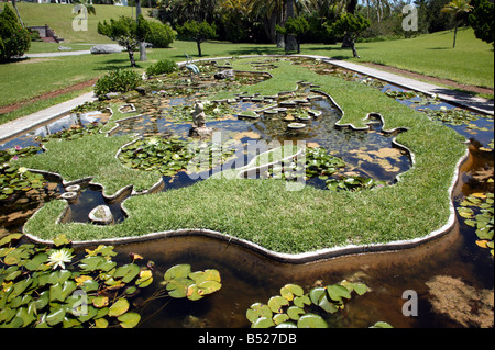 Shot of a unique pond featuring a grassy relief map of Bermuda, locate ...