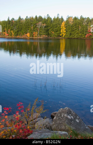 Fall colours on the shores of Fletcher Lake - Fall River, Nova Scotia ...