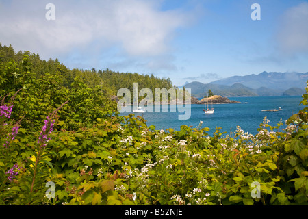Friendly Cove Nootka Vancouver Island British Columbia Canada Stock ...