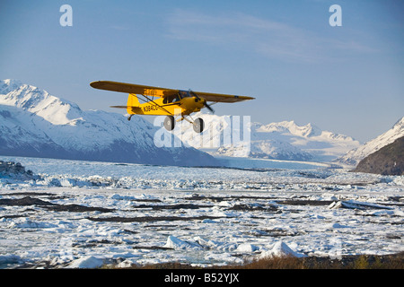 Piper Super Cub flying over the beach at Hinchinbrook Island, Alaska ...