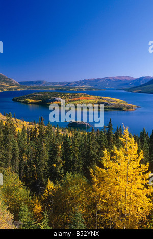 Bove Island, Tagish Lake, Yukon, Northern British Columbia, Canada ...