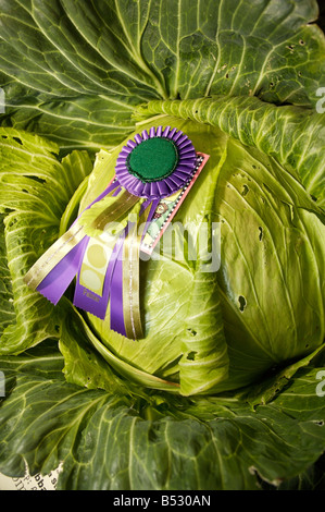 Giant cabbage at Alaska state fair Stock Photo - Alamy