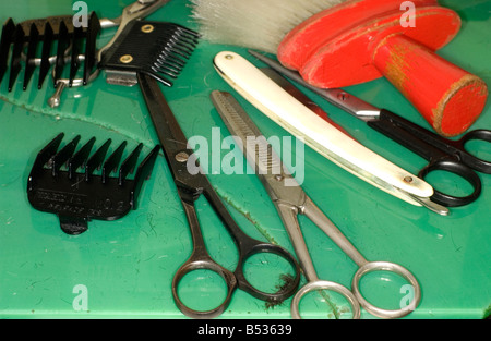 Man with barbers tools. Man cut hair with hairdressing scissors. Men ...