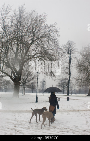 Clapham Common in the snow, Lambeth, London, UK Stock Photo - Alamy