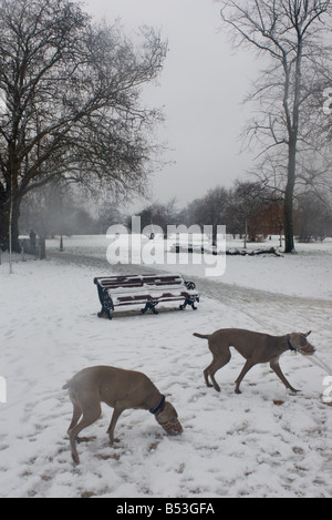 Clapham Common in the snow, Lambeth, London, UK Stock Photo - Alamy
