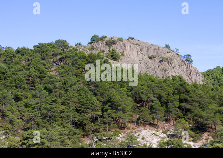 Greece, dadia forest Stock Photo - Alamy
