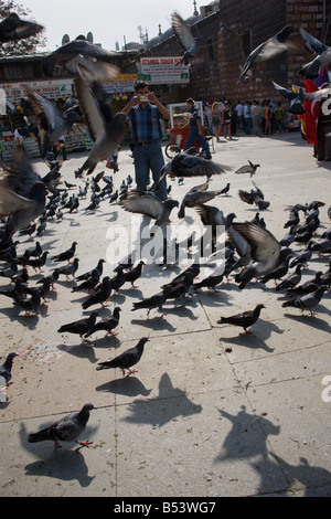 Pigeons Eminonu Istanbul Turkey Stock Photo - Alamy