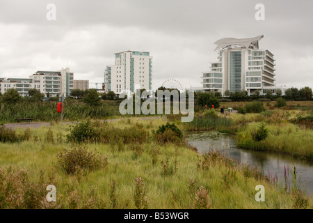 Cardiff Bay Wetland Nature Reserve Stock Photo - Alamy