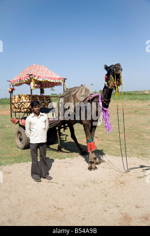 Taxi driver, Rajasthan, India Stock Photo - Alamy