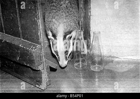 Eight year old Rebecca Gaskell, together with her five year old sister ...