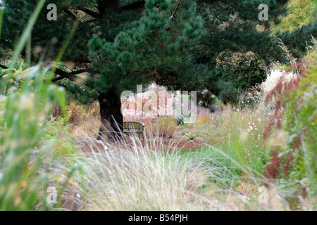KNOLL GARDENS WIMBORNE DORSET DURING OCTOBER Stock Photo - Alamy
