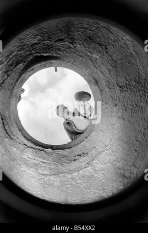 Peter McInally has thrown up a teaching career for a daily date with a ...