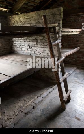 Prisoner bunks in Auschwitz Birkenau Concentration Camp, Poland Stock ...