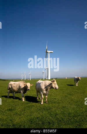 LLyn Alaw Wind Farm Anglesey producing electricity for part of North ...
